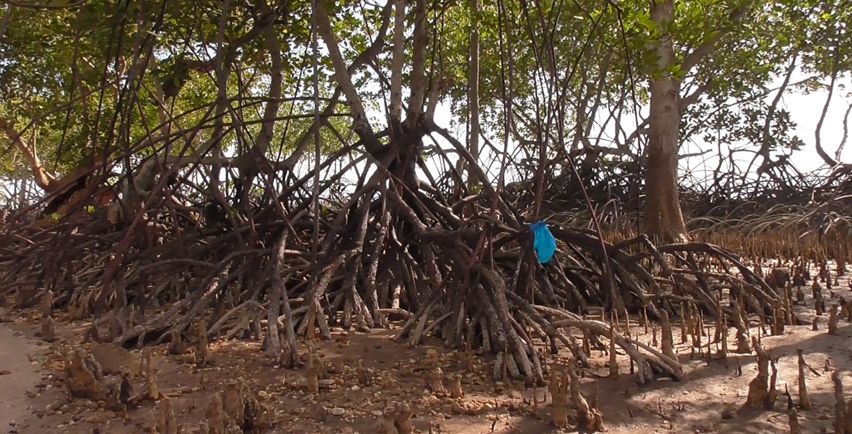 Things To Do In Batam Indonesia - My Travel HelpLine